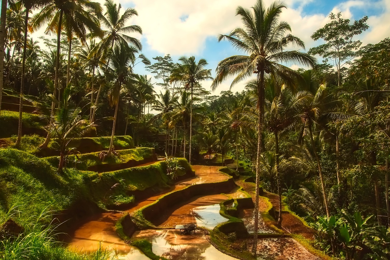 Bali Seasons - When to go to Bali / Wet and dry season